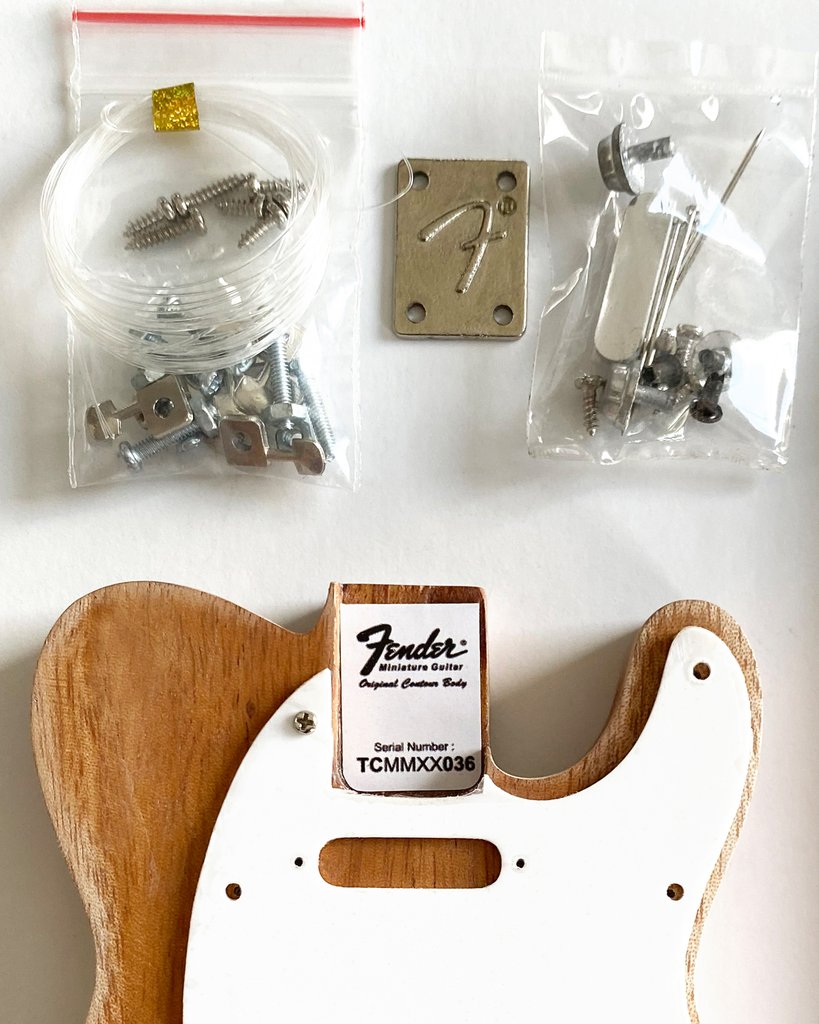 BUILD YOUR OWN Miniature Guitar MODEL KIT – Fender™ Telecaster ...